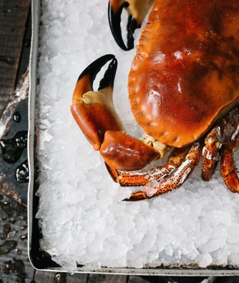 Cómo cocer camarón correctamente: guía paso a paso - Delicias del Mar